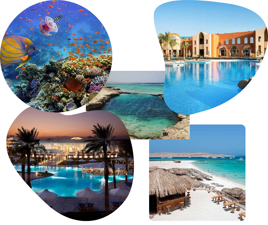 Excursions à Marsa Alam: Aventures Uniques personnalisé